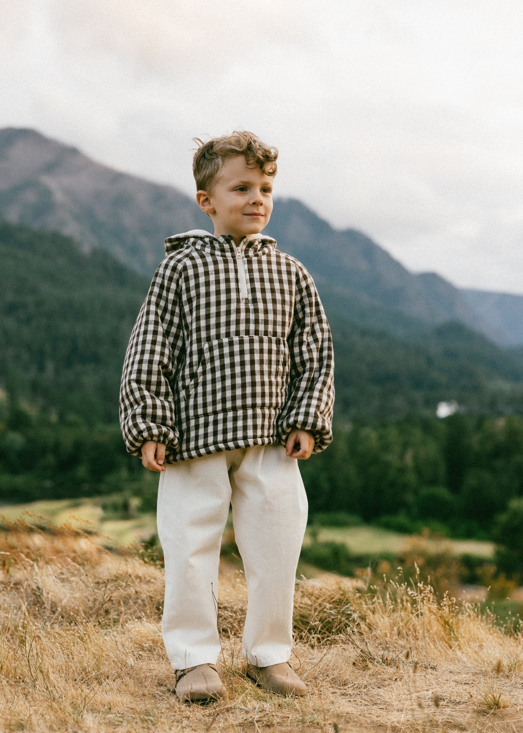 Half Zip Pullover- Gingham – Fostered Collection