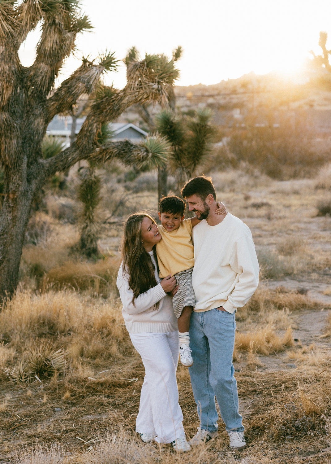 About – Fostered Collection