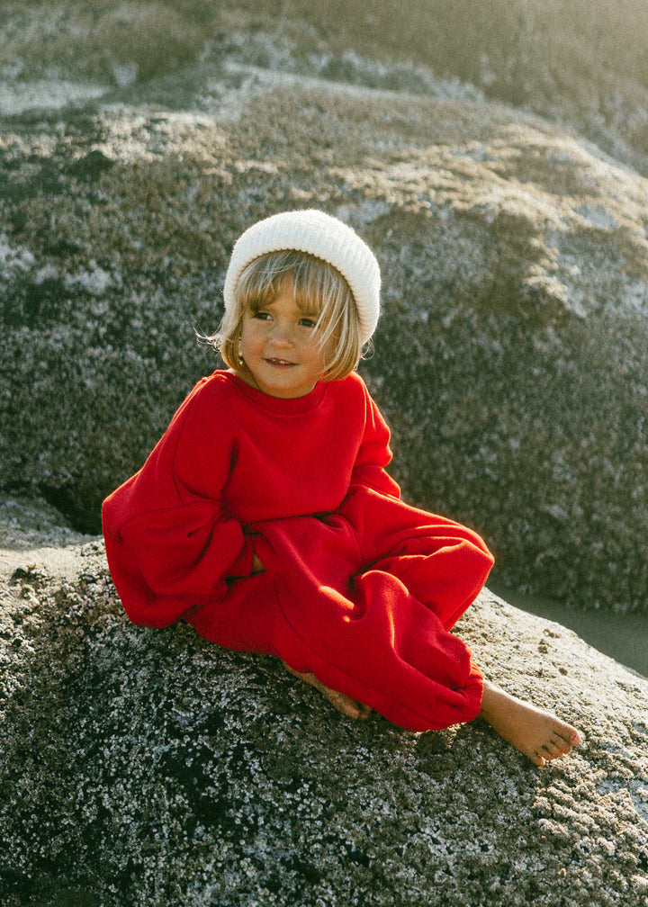 SETS – Fostered Collection